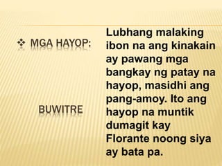 Florante at laura ppt_Mam Shie | PPTX