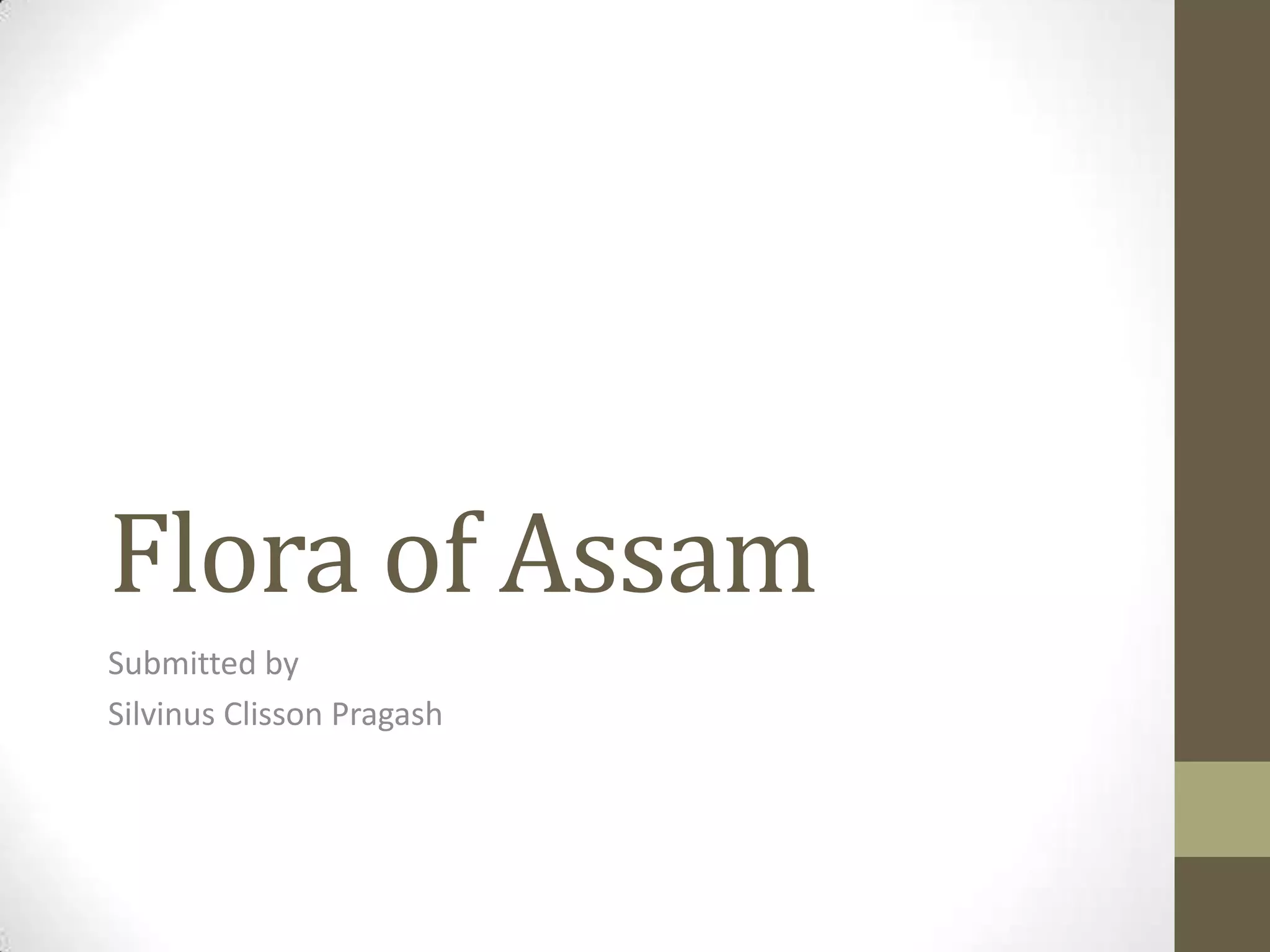 Flora of assam | PPTX