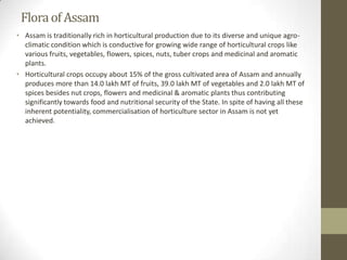 Flora of assam | PPTX