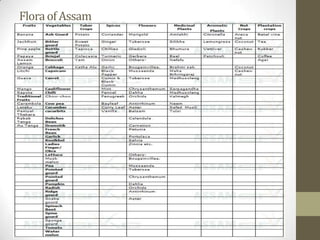 Flora of assam | PPTX