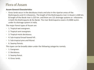 Flora of assam | PPTX