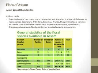 Flora of assam | PPTX