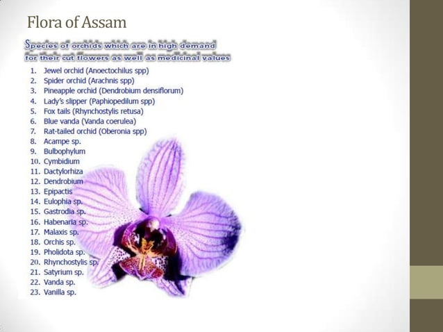 Flora of assam | PPTX
