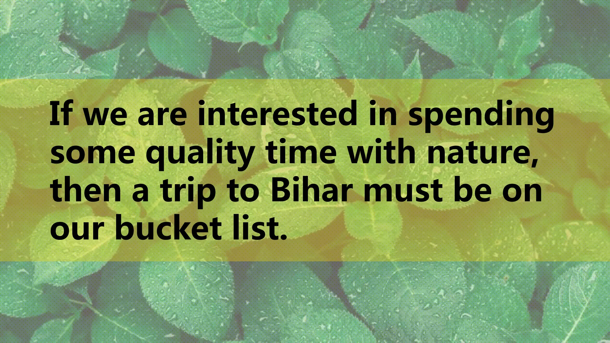 Flora of Bihar | PPTX