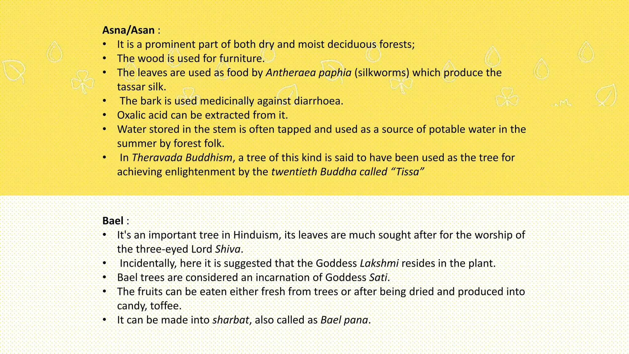 Flora of Bihar | PPTX