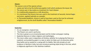 Flora of Bihar | PPTX