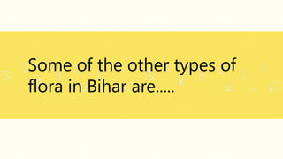 Flora of Bihar | PPTX