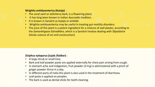 Flora of Bihar | PPTX