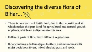 Flora of Bihar | PPTX