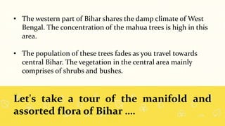 Flora of Bihar | PPTX