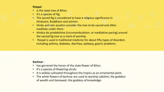 Flora of Bihar | PPTX