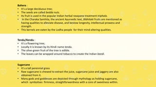 Flora of Bihar | PPTX