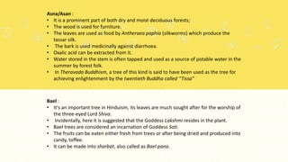 Flora of Bihar | PPTX