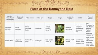Flora of the indian epic period | PPTX