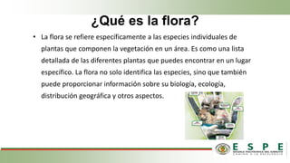 flora o vegetacion del ecuador segun sus regiones.pptx