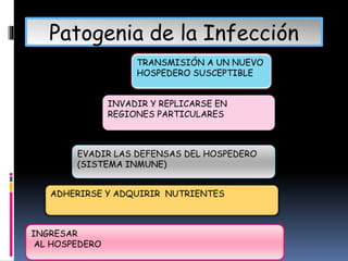 FLORA RESIDENTE Y TRANSITORIA.pptx