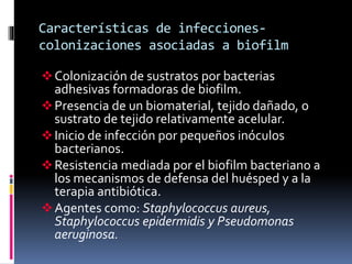 FLORA RESIDENTE Y TRANSITORIA.pptx
