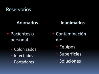 FLORA RESIDENTE Y TRANSITORIA.pptx