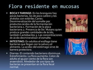 FLORA RESIDENTE Y TRANSITORIA.pptx