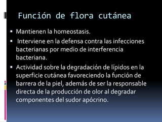 FLORA RESIDENTE Y TRANSITORIA.pptx