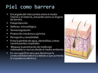 FLORA RESIDENTE Y TRANSITORIA.pptx