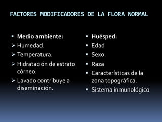 FLORA RESIDENTE Y TRANSITORIA.pptx