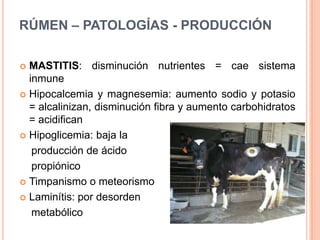Flora ruminal y producción lactea | PPTX