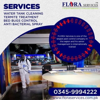 Flora services | PDF