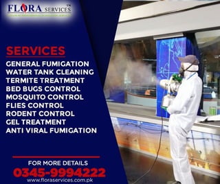 Flora services | PDF | Free Download