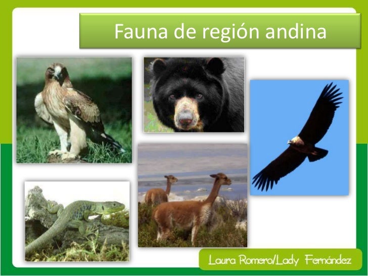 Flora y fauna