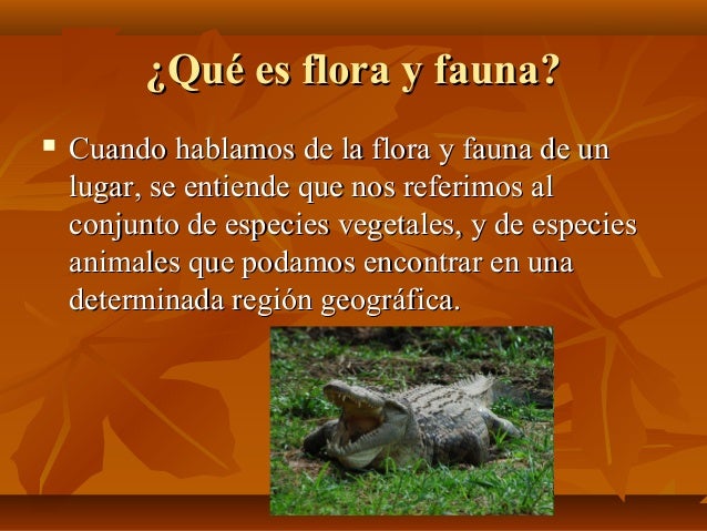 Que Es La Flora Y Fauna – Eroppa