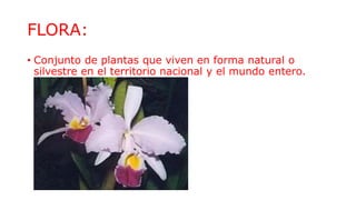 Flora y fauna | PPTX