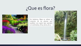 Flora y fauna | PPTX