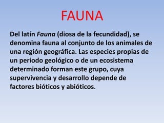 Flora y fauna | PPTX