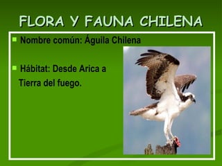 Flora y Fauna de Chile | PPT