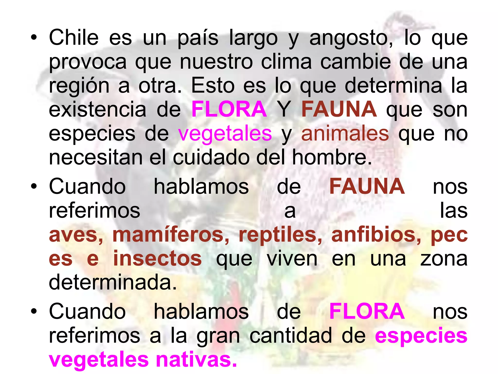 Flora y fauna de chile | PPTX