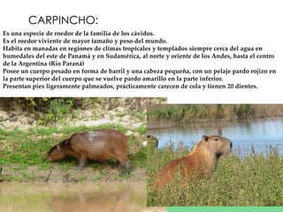 Flora y fauna de Entre Ríos | PPTX