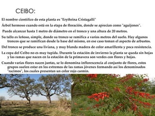 Flora y fauna de Entre Ríos | PPTX
