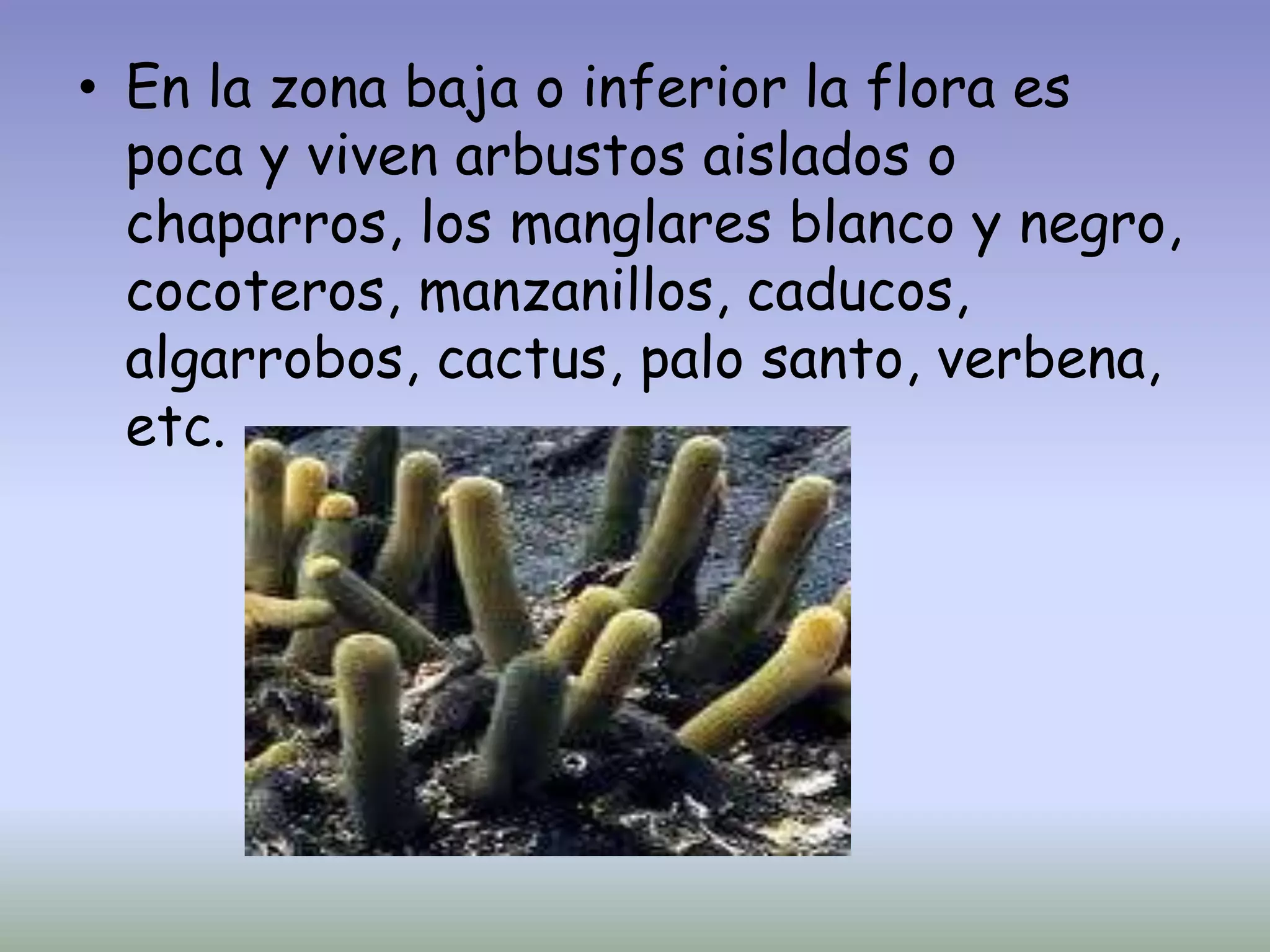 Flora y fauna de la región galápagos | PPTX | South America Travel ...