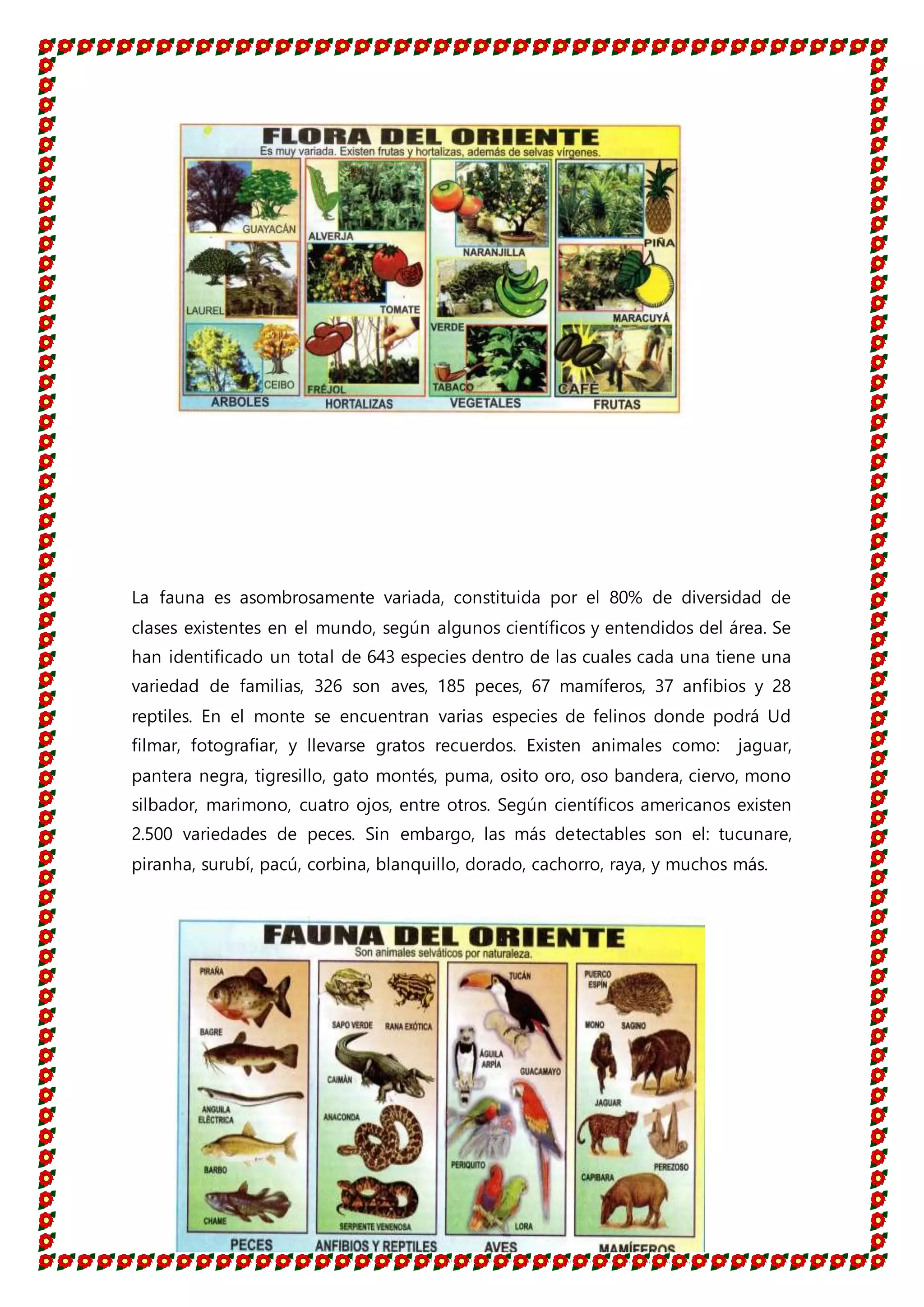 Flora y fauna de las regiones del ecuador | DOCX | South America Travel ...