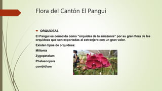 Flora y fauna del cantón el pangui | PPTX