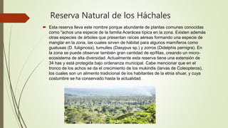 Flora y fauna del cantón el pangui | PPTX