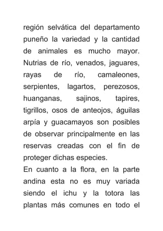 Flora y Fauna de Puno.docx