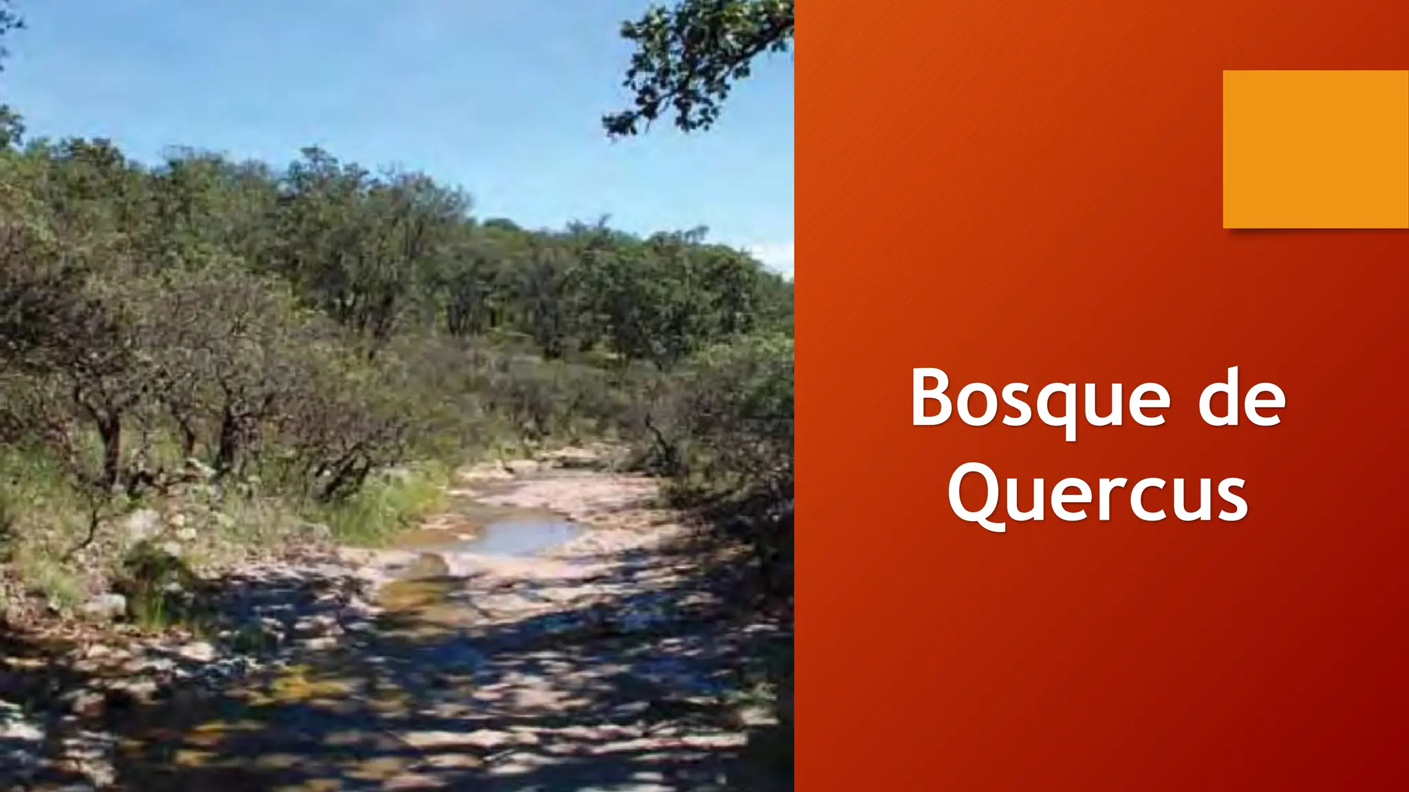 Flora y Fauna de Querétaro.pptx