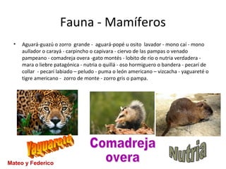 Flora y fauna de santa fe | PPT