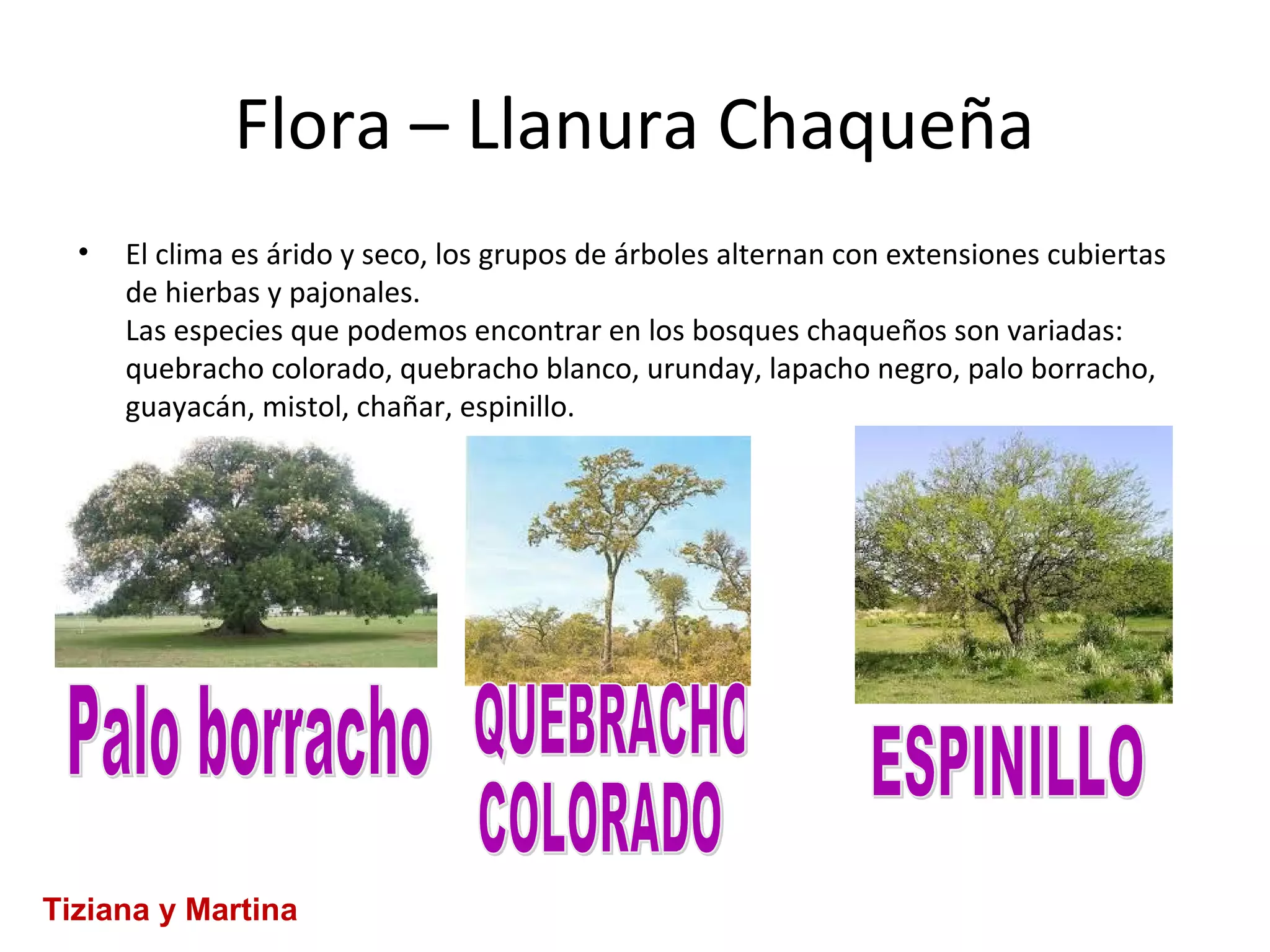 Flora y fauna de santa fe | PPT