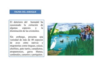 Flora y fauna humedales | PPTX