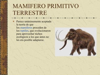 Flora y fauna prehistorica | PPT