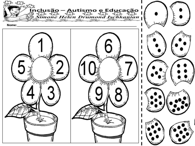 Flor dos números | PPT