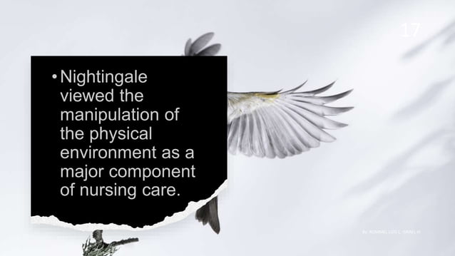 FLORENCE NIGHTINGALE: ENVIRONMENTAL THEORY | PPTX | Indoor ...